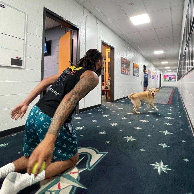 Dog Who Was Almost Euthanized Gets Adopted By Seattle Mariners Baseball ...