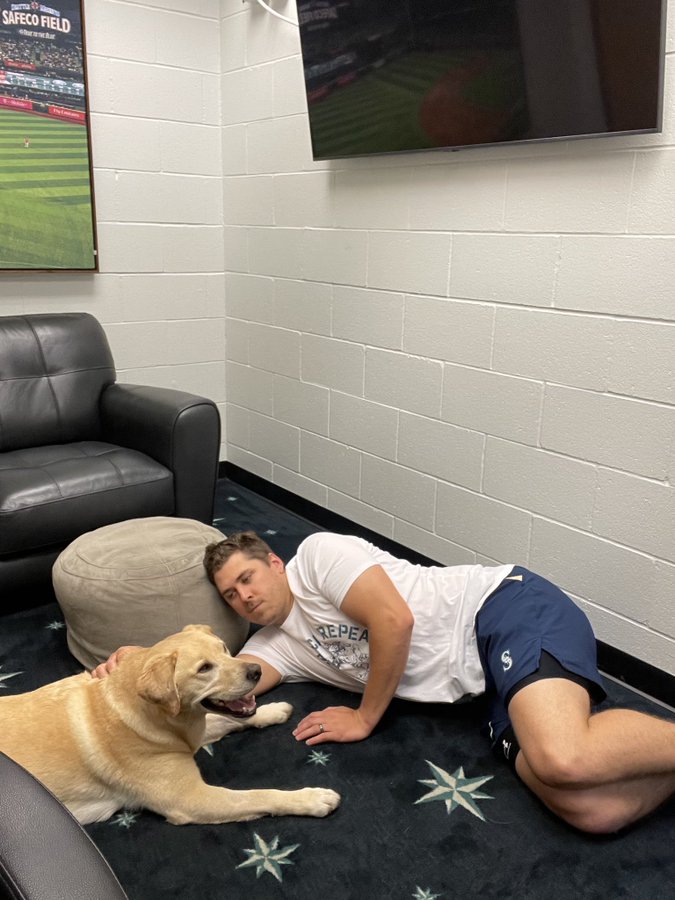 Dog Who Was Almost Euthanized Gets Adopted By Seattle Mariners Baseball ...